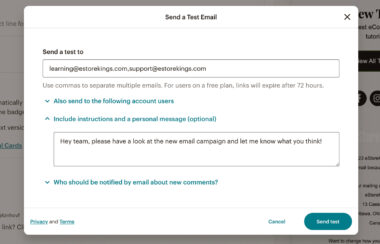 How to Send a Test Email in Mailchimp - eStoreKings
